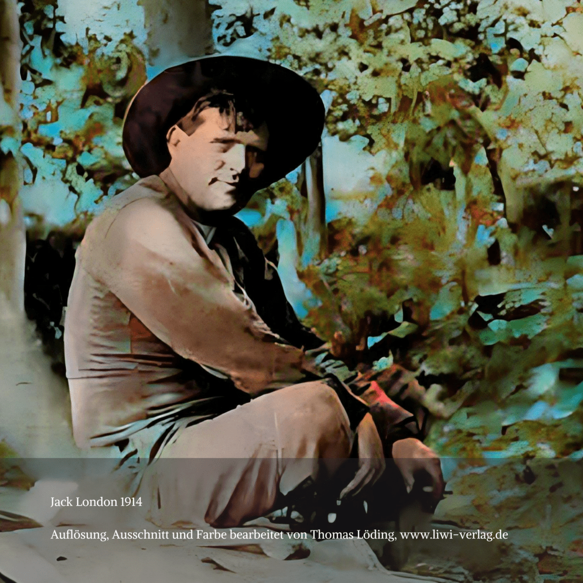 Jack London Bücher - Der Seewolf, Wolfsblut & weitere Werke